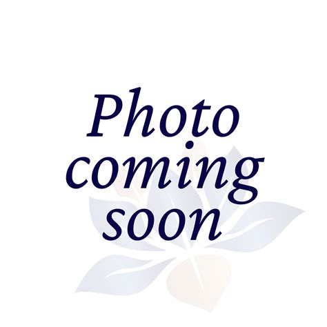 About — Ignite Massage Bodywork