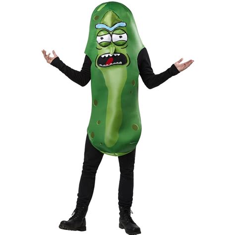 Rick And Morty Pickle Rick Adult Costume One Size Big W