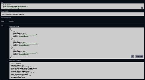 django 4 with drf spectacular swagger does not execute post stack