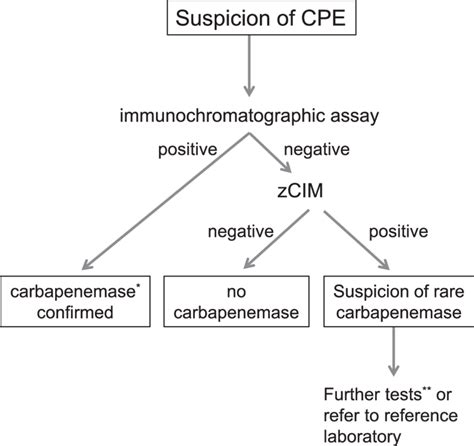 Algorithm For The Detection Of Carbapenemases In The Routine
