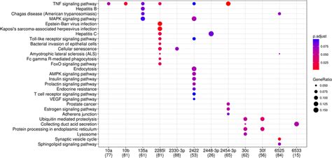 Functional Enrichment Analysis Of Up Regulated Differentially Expressed