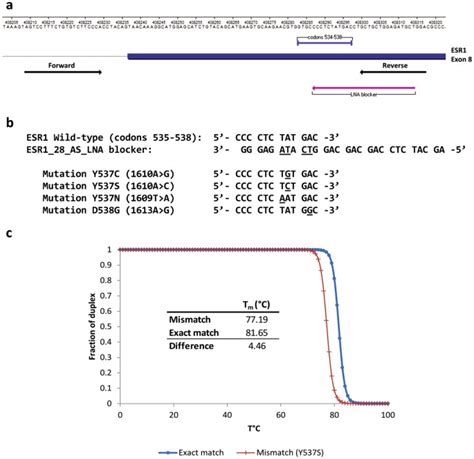 High Sensitivity Assay For Monitoring Esr1 Mutations In Circulating