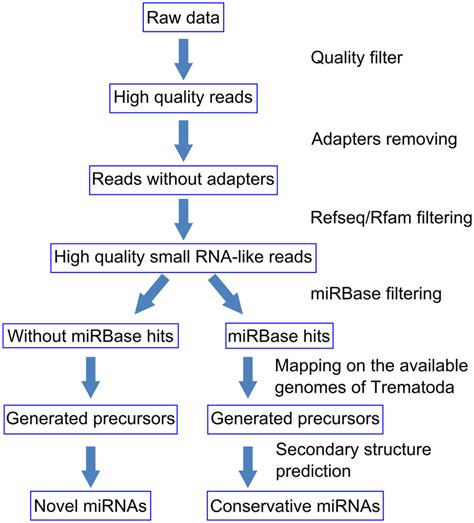 computational pipeline for analyzing small rna sequencing data