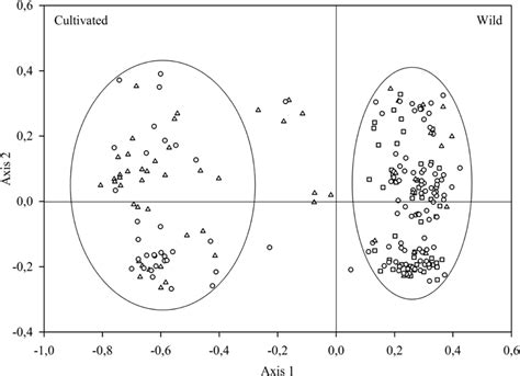 Principal Component Analysis Of Microsatellite Data For 229 Adult Trees