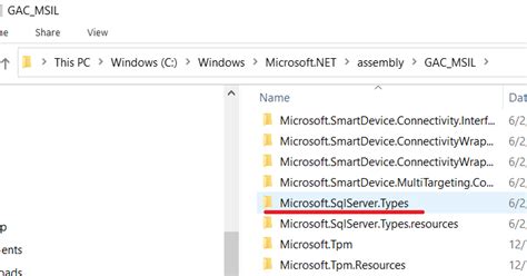 microsoft sqlserver dtsruntimewrap dll download