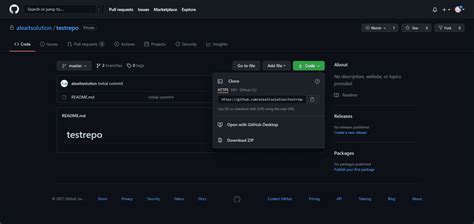 how to run a laravel project on git best web development company