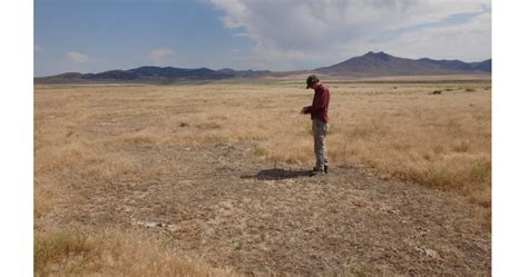 cheatgrass die off archives open source gis gis