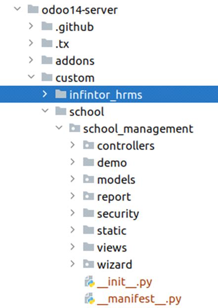 creating a custom module using scaffold in odoo infintor solutions