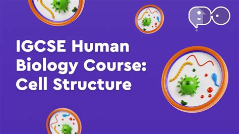 Igcse Human Biology Course Cell Structure Youtube