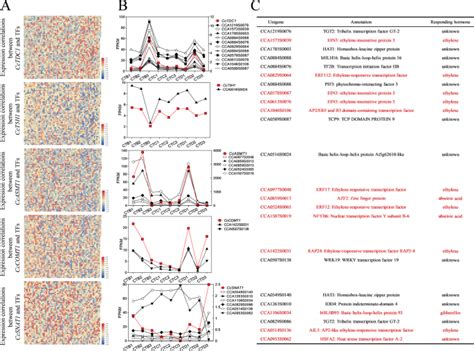 Metabolite Profiling And Transcriptome Analyses Reveal 53 Off