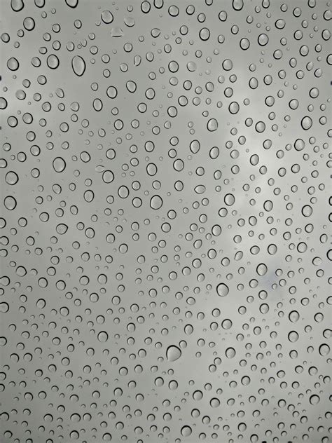 Free Images Drop Black And White Texture Rain Glass Wall
