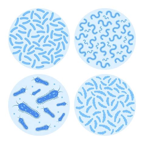 Premium Vector Bacterial Flora In Circle Set Different Bacteria