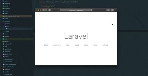 lib laravel vue localization