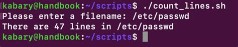 how to pass arguments to a bash shell script