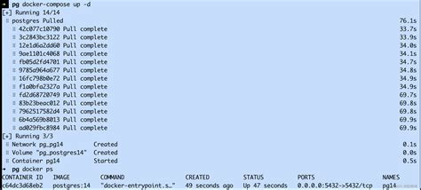 笔记系列之docker安装postgresql 14 docker postgres 14 复制 圆师傅的博客 csdn博客