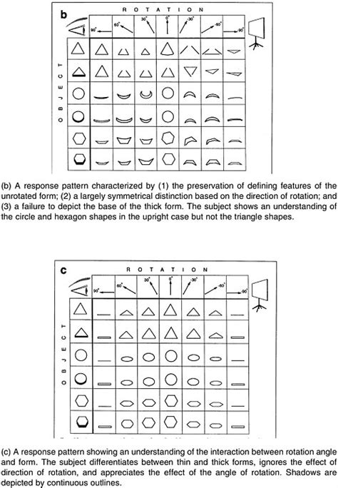 Appendix C Individual Differences In Spatial Thinking The Effects Of