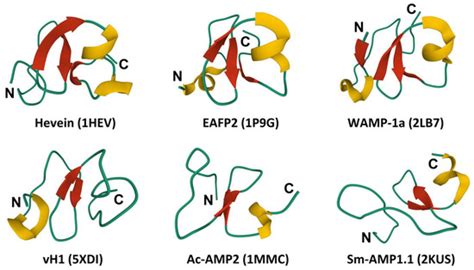 Cimb Free Full Text Plant Antimicrobial Peptides Insights Into