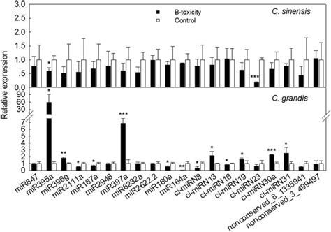 Relative Abundance Of Mirnas In Citrus Leaves Under B Sufficient And