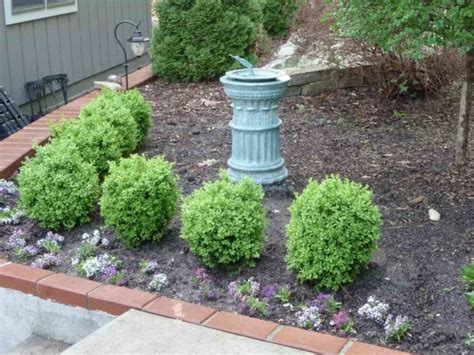 Pacific Northwest Dwarf Trees For Landscaping — Randolph Indoor And