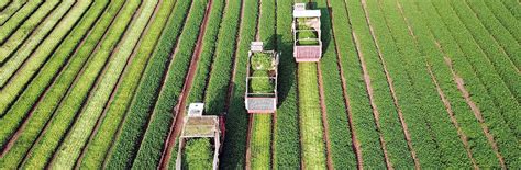 Memahami Konsep Pertanian Berkelanjutan Di Indonesia