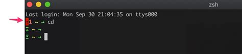why does iterm2 oh my zsh starts with an error where should i start