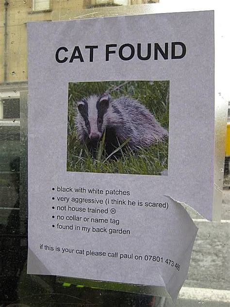 10 Hilarious Posters For Missing Cats Paws Planet