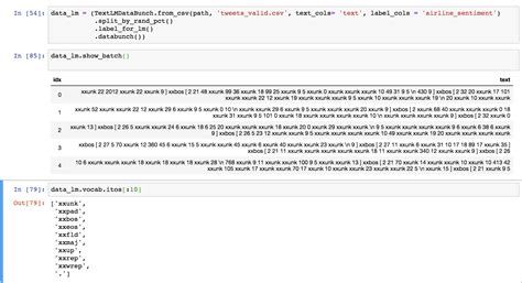 deciphering numericalized text using textlmdatabunch part 1 2019