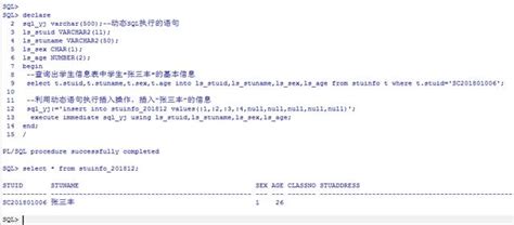 oracle動態執行sql語句詳解（實例分析） 每日頭條