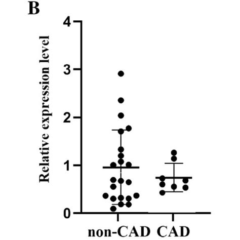 Relative Expression Levels Of Hsa Mir 584 5p The Figure Depicts