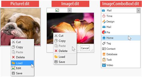 included controls and components winforms controls devexpress