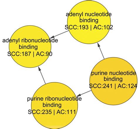 In Silico Comparative Genomic Analysis Of Two Non Small Cell Lung