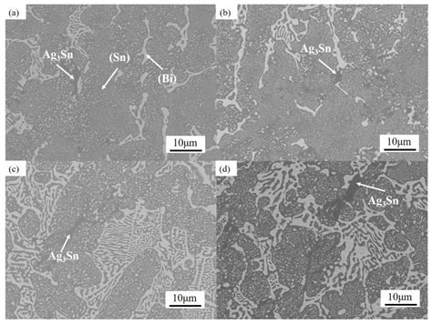 Coatings Free Full Text Investigation Of The Microstructure