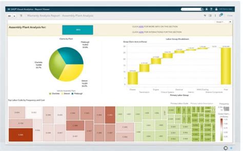 sas visual analytics pinnacle solutions inc