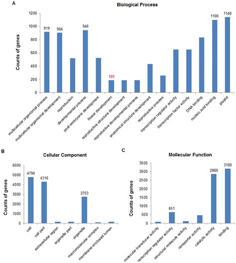 Gene Ontology Go Categories Of Target Genes Of Known And New Mirna