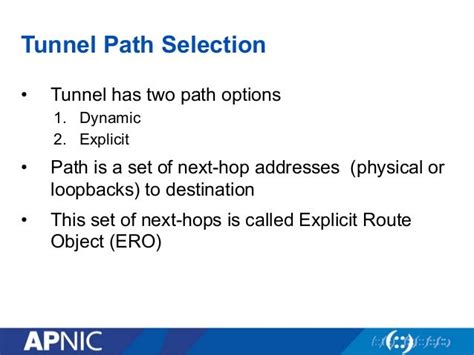 Mpls Traffic Engineering