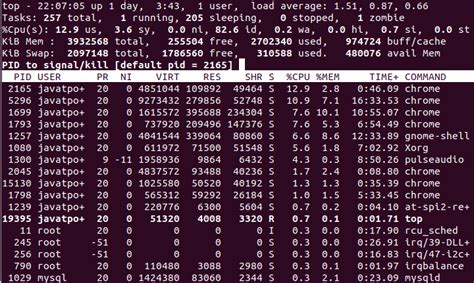 how to kill a process in linux systran box
