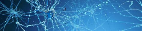 10 Principles Of Neuroplasticity Forspeech Therapy