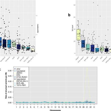 Mutation Burden By Subtype Short Somatic Variants Snvs And Indels