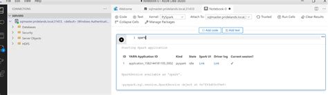 troubleshoot `pyspark` notebook sql server big data