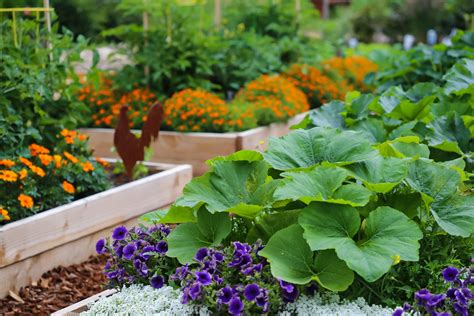 21 Vegetable And Flower Garden Ideas You Cannot Miss Sharonsable