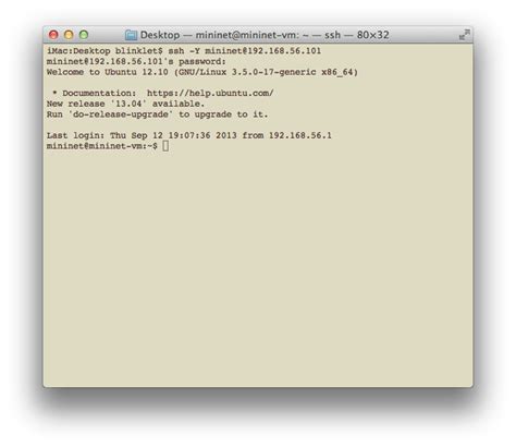 set up the mininet network simulator open source routing and network