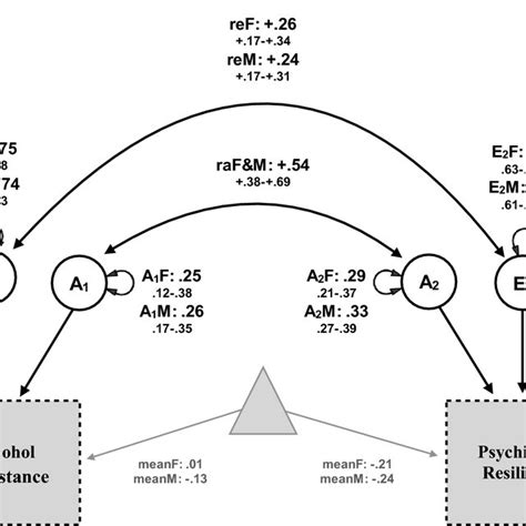 Bivariate Sex Limitation Model Of Ar And Pr Results Standardized
