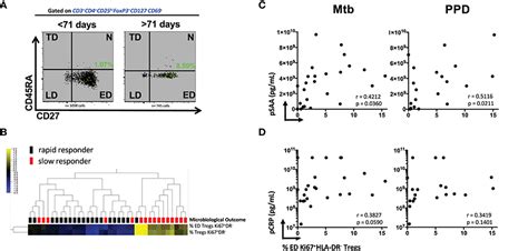 Frontiers Frequency Of Circulating Cd4 Ki67 Hla Dr− T Regulatory