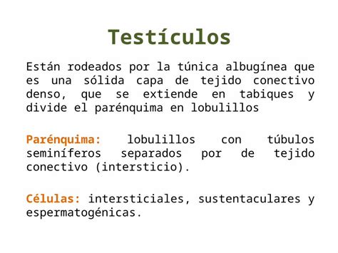 Histología Sistema Reproductor Macho [pptx Powerpoint]