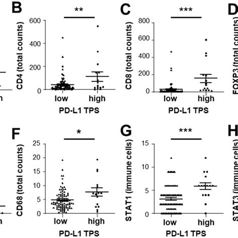 Association Between Pd L1 Expression In The Tumor Epithelium And Immune