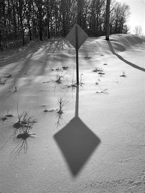 Lake Rebecca Snowshoe 08 Jan 2023 Vanmarmots Travels