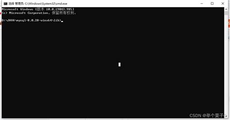 mysql安装配置详细 server file permissions怎么选mysql安装 csdn博客