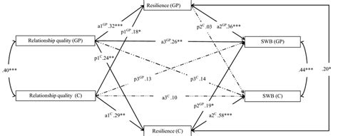 standardized actor and partner associations between relationship