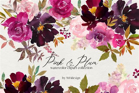Pink Plum Watercolor Floral Clipart Illustrations ~ Creative Market