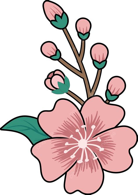 Decoración De Ramas De Melocotón Rosa Png Flor De Melocotón Rosado
